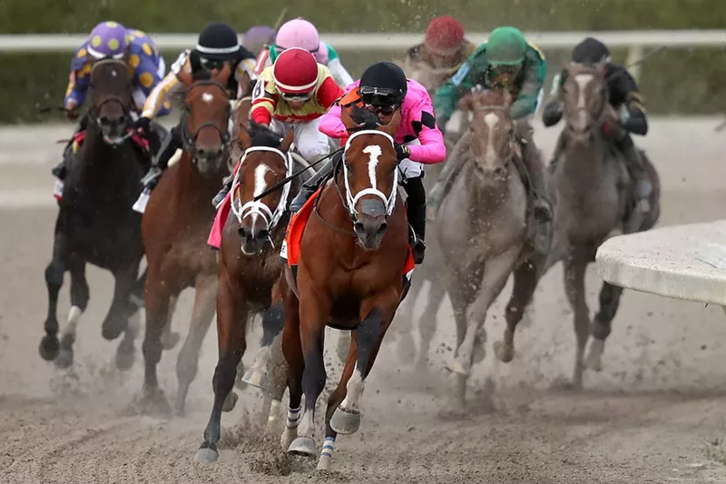 Gulfstream Park Horse Death Toll at 34 as 2019-2020 Championship Meet ...