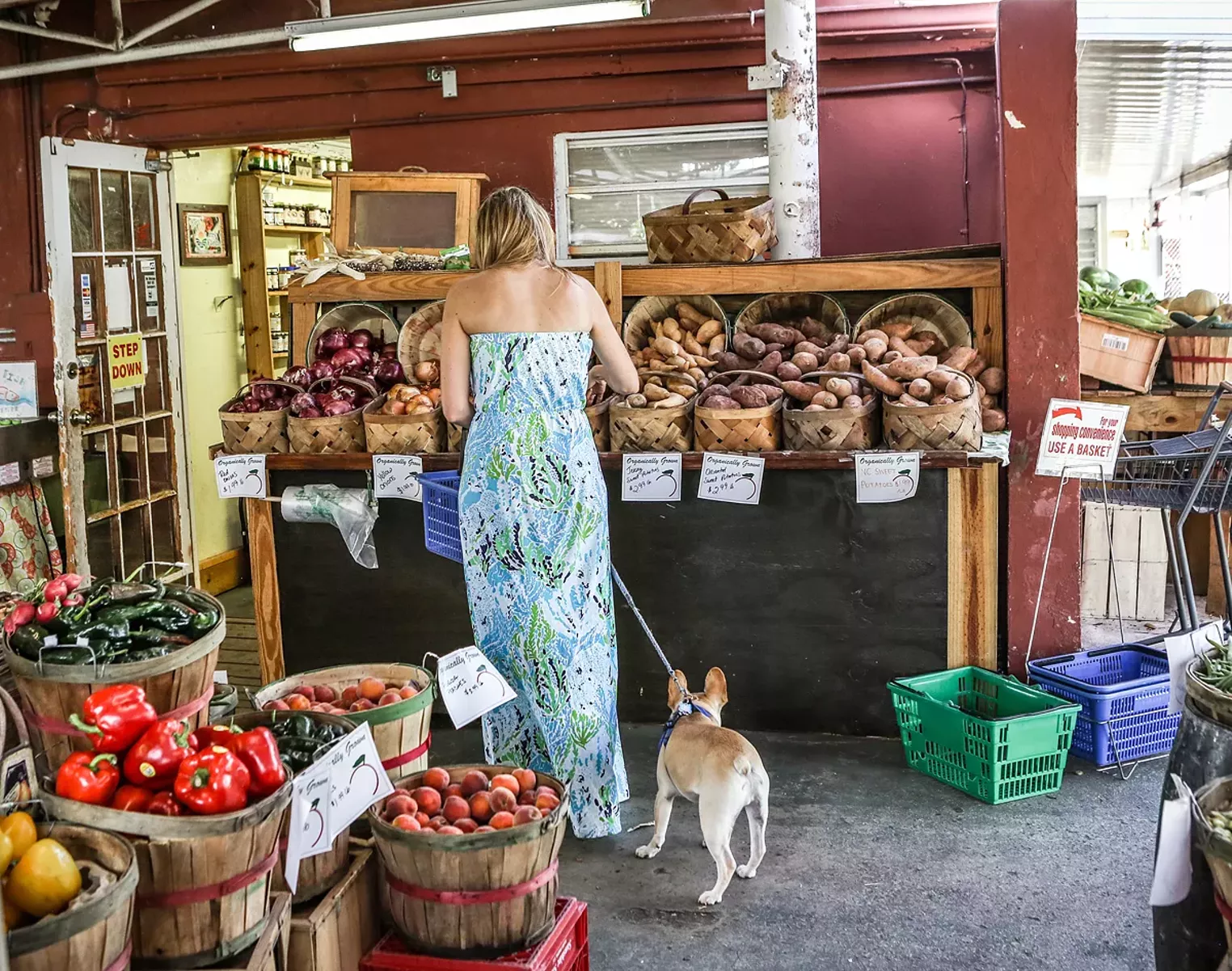 Closer Look: Marando Farms in Fort Lauderdale | South Florida | Broward ...